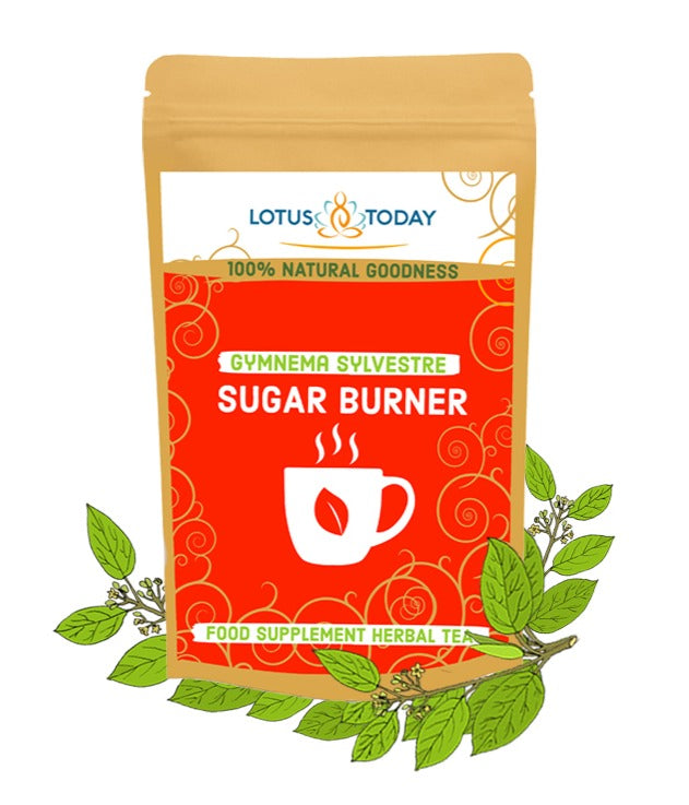 Gurmar Leaf Tea Gymnema sylvestre | Sugar Burner Herbal tea 60 tea bag ...
